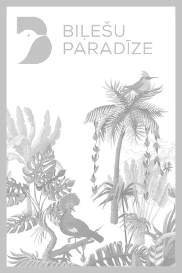 Forum Cinemas | kino Citadele